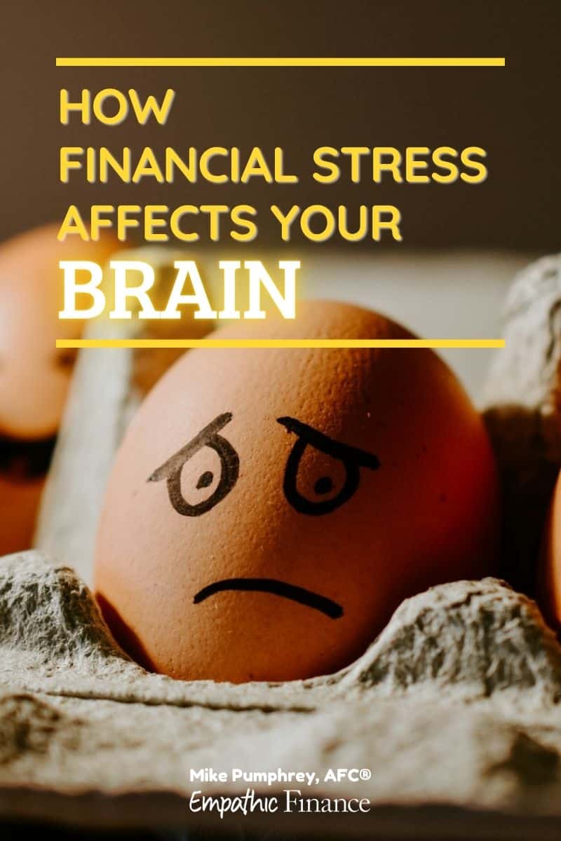How financial stress affects your brain - Empathic Finance | Mike ...